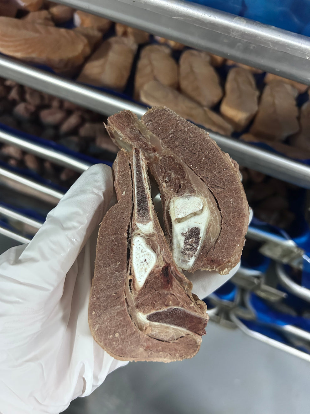 Freeze-Dried Whole Deer Rib – PAWDRY