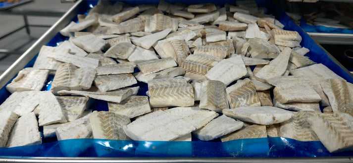 Freeze-Dried Skinless Cod Fish Fillet Slices – PAWDRY