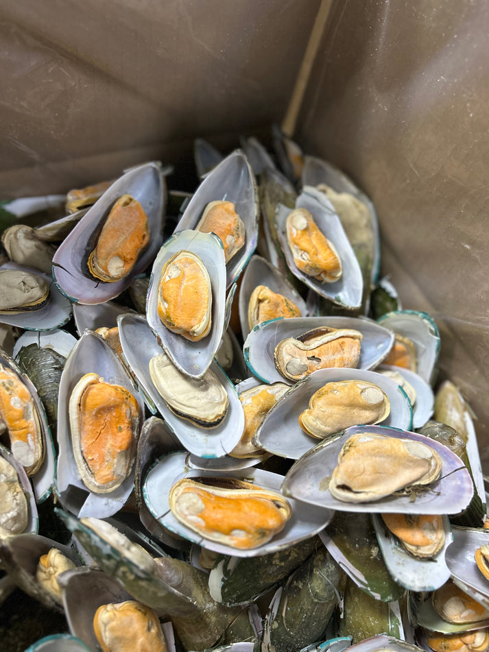 Freeze-Dried Mussels – PAWDRY